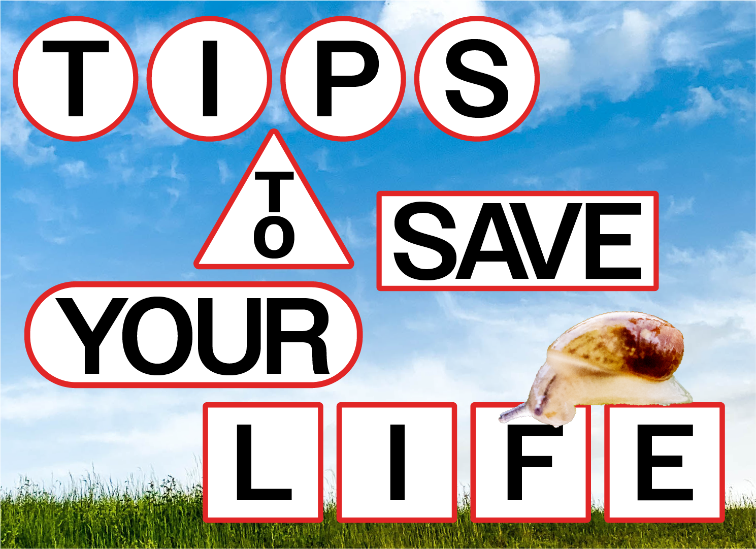 Life Lessons: How To Be A Lazy Summer Slug